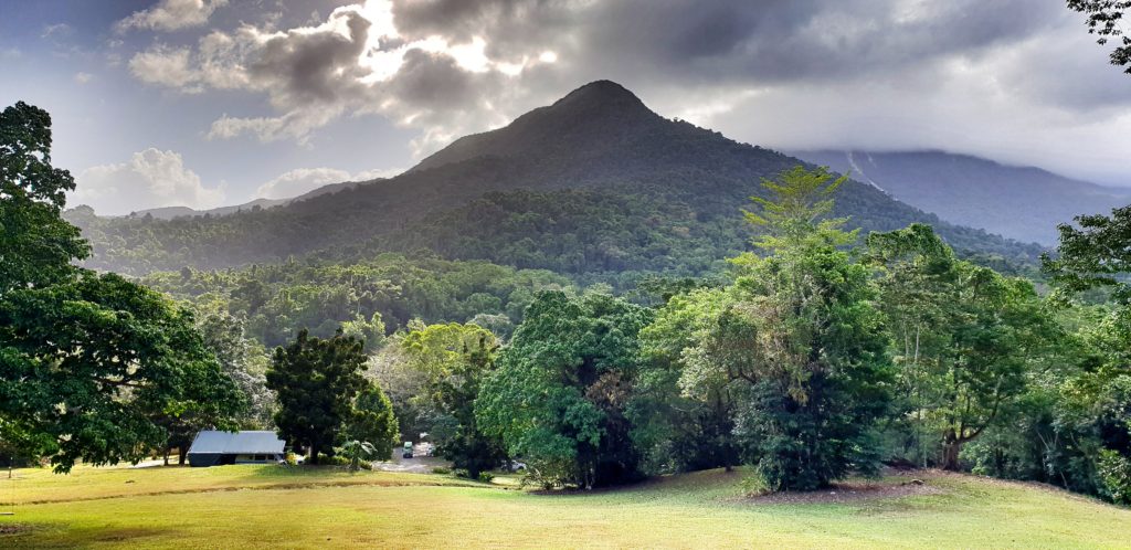 Cooktown and the Daintree Rainforest - RVeeThereYet